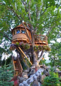 Treehouse With Amazing View